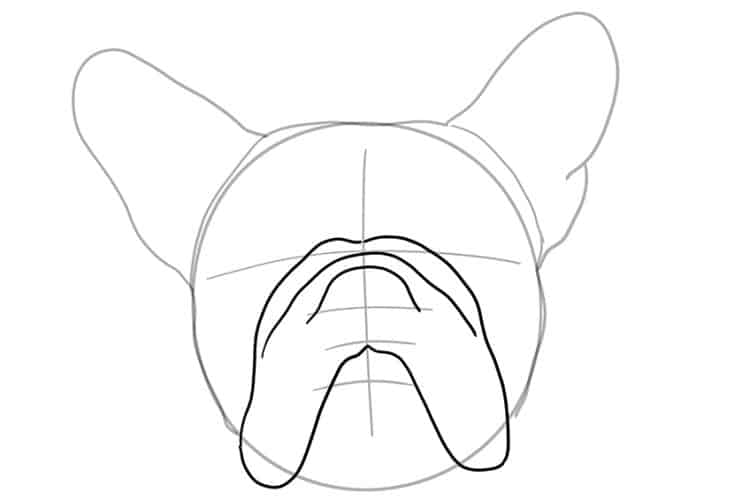 How to Draw a Dog Face - A Fun Drawing Tutorial!