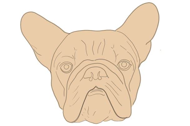 How to Draw a Dog Face - A Fun Drawing Tutorial!