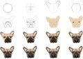 How to Draw a Dog Face - A Fun Drawing Tutorial!