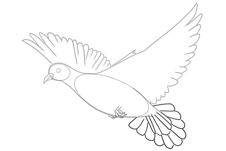 How to Draw a Dove - A Step-by-Step Tutorial on Dove Drawing
