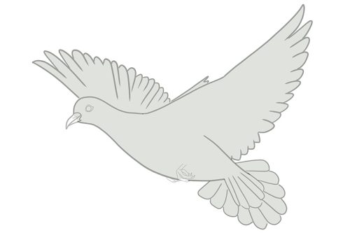 How to Draw a Dove - A Step-by-Step Tutorial on Dove Drawing