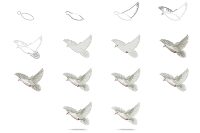 How to Draw a Dove - A Step-by-Step Tutorial on Dove Drawing