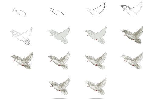 How to Draw a Dove - A Step-by-Step Tutorial on Dove Drawing