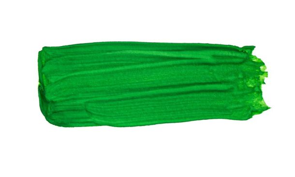 Forest Green Color - Explore Unique Shades of Forest Green