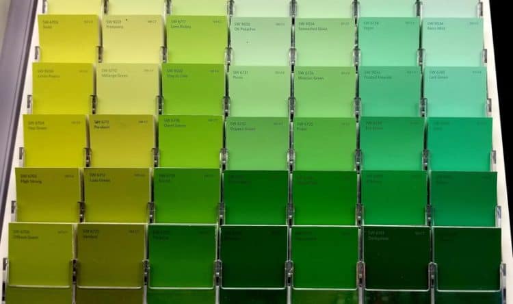 Forest Green Color - Explore Unique Shades of Forest Green