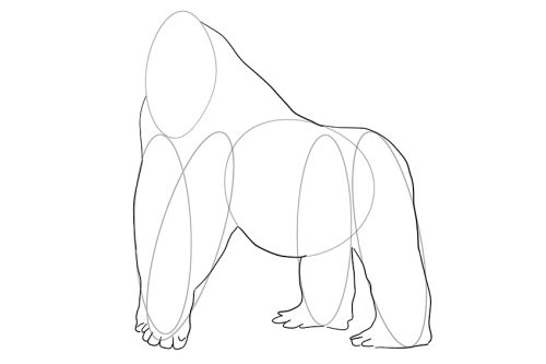 How to Draw a Gorilla - A Simple Gorilla Drawing!