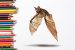 How to Draw a Bat - A Step-by-Step Guide to Create a Bat Drawing