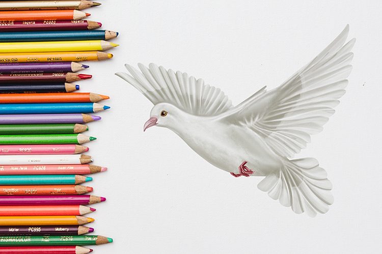 How to Draw a Dove - A Step-by-Step Tutorial on Dove Drawing