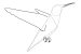 How to Draw a Hummingbird - A Realistic Hummingbird Drawing