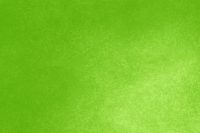 Kelly Green Color - Creating a Kelly Green Color Palette