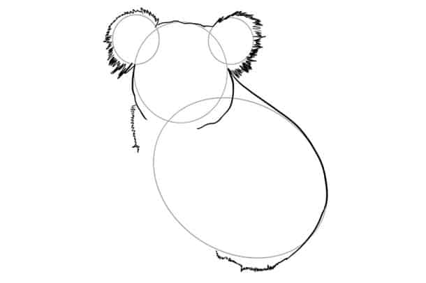 How to Draw a Koala - A Cute Koala Bear Drawing