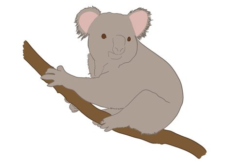 How to Draw a Koala - A Cute Koala Bear Drawing