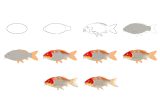 How to Draw a Koi Fish - An Easy Koi Fish Drawing