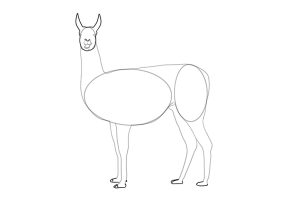 How to Draw a Llama - A Fun Step-by-Step Llama Drawing