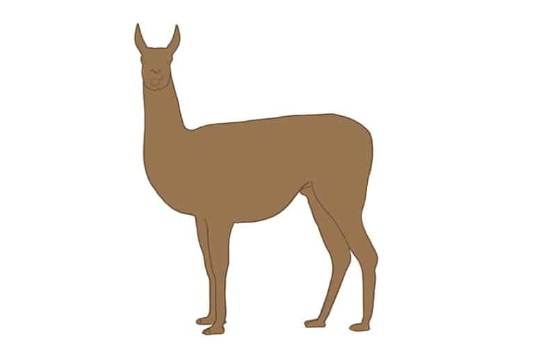 How to Draw a Llama - A Fun Step-by-Step Llama Drawing