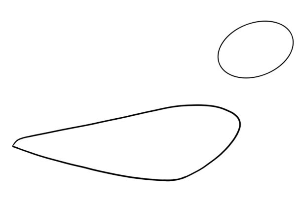 How to Draw a Parrot - A Fun and Colorful Parrot Drawing