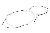 How to Draw a Rat - A Fun Guide to Creating a Rat Drawing