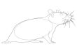 How to Draw a Rat - A Fun Guide to Creating a Rat Drawing