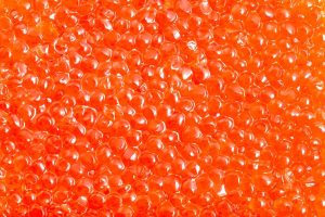 Salmon Color - All You Need to Know, Including All Shades