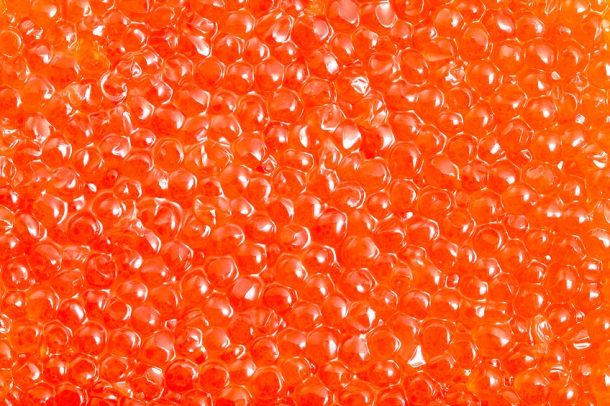 Salmon Color - All You Need to Know, Including All Shades