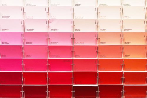 Salmon Color - All You Need to Know About the Color Salmon