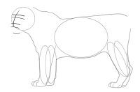 How to Draw a Tiger - A Fun Full Body Tiger Drawing