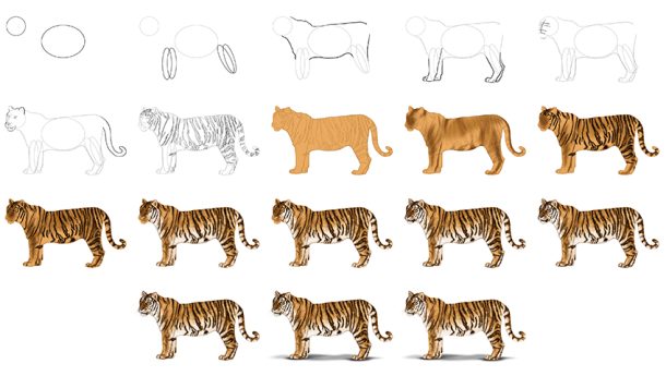 How to Draw a Tiger - A Fun Full Body Tiger Drawing