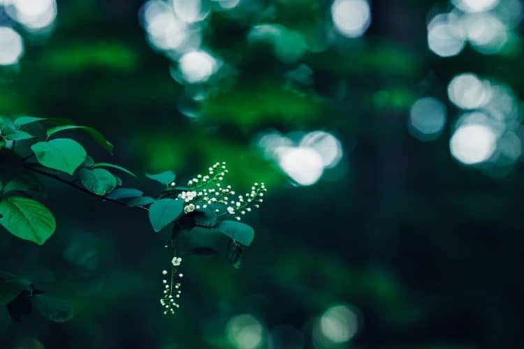 Shades of Tan Color - 70+ Popular Color Tones