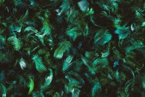 Viridian Color - Creating and Using a Viridian Color Palette