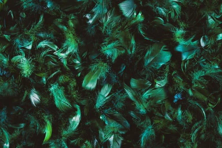 Viridian Color - Creating and Using a Viridian Color Palette
