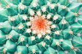 Viridian Color - Creating and Using a Viridian Color Palette