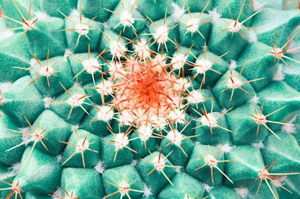 Viridian Color - Creating and Using a Viridian Color Palette