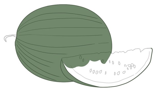 How to Draw a Watermelon - An Easy Watermelon Drawing