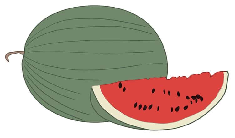 How to Draw a Watermelon - An Easy Watermelon Drawing