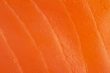 Salmon Color - All You Need to Know, Including All Shades