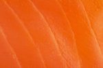 Salmon Color - All You Need to Know, Including All Shades