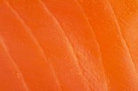 Salmon Color - All You Need to Know, Including All Shades