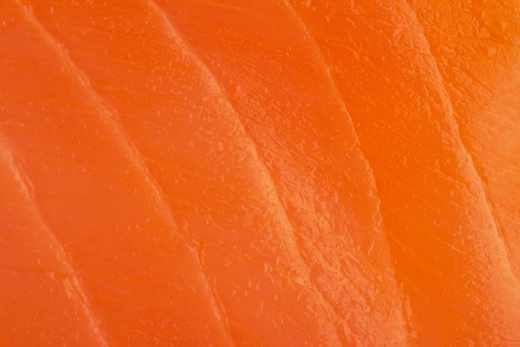 Salmon Color - All You Need to Know, Including All Shades