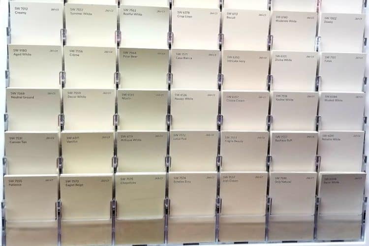 Cream Color - How to Create and Use a Cream Color Palette