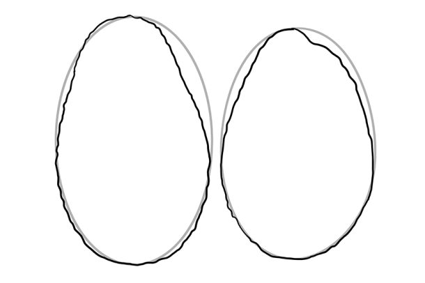 How to Draw an Avocado - Create a Delicious Avocado Drawing