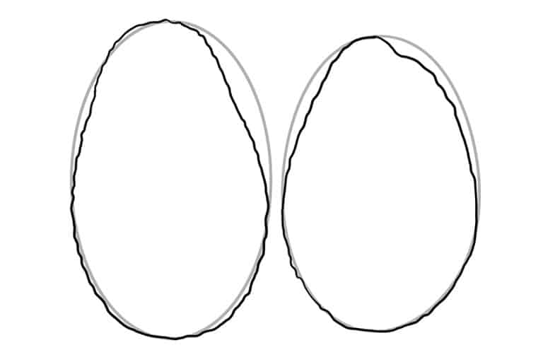 How to Draw an Avocado - Create a Delicious Avocado Drawing