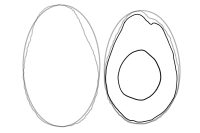 How to Draw an Avocado - Create a Delicious Avocado Drawing