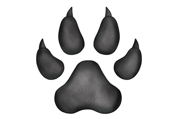 How to Draw a Paw Print - Easy Step-by-Step Guide