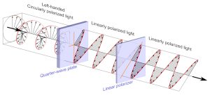 History of Polaroid - The Cultural Legacy of This Iconic Brand