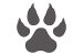 How to Draw a Paw Print - Easy Step-by-Step Guide