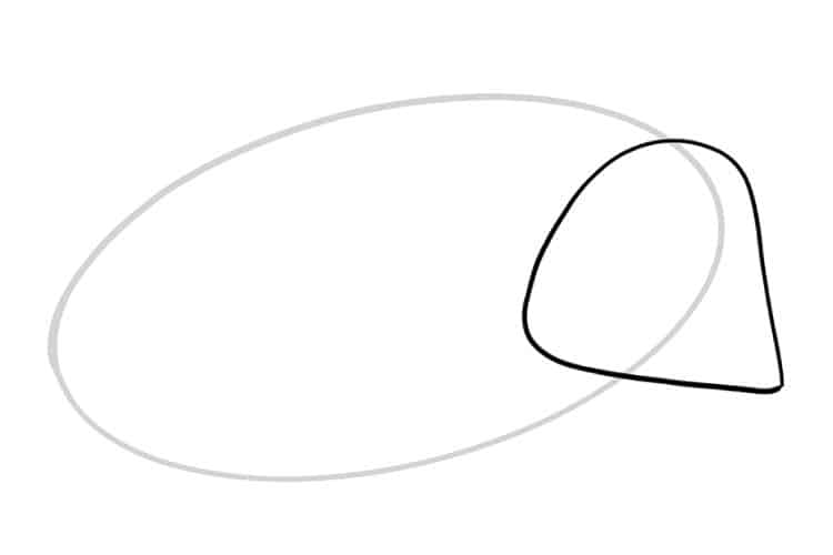 How to Draw a Hedgehog - Create an Adorable Hedgehog Sketch