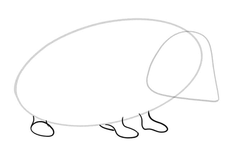 How to Draw a Hedgehog - Create an Adorable Hedgehog Sketch
