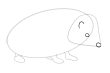 How to Draw a Hedgehog - Create an Adorable Hedgehog Sketch