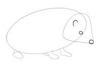 How to Draw a Hedgehog - Create an Adorable Hedgehog Sketch