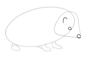 How to Draw a Hedgehog - Create an Adorable Hedgehog Sketch